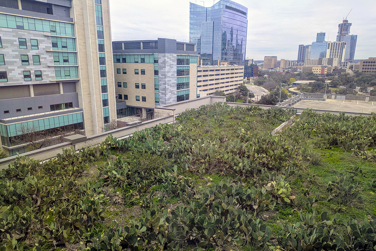 Successfully Overcoming Challenges of Green Infrastructure to Transform ...