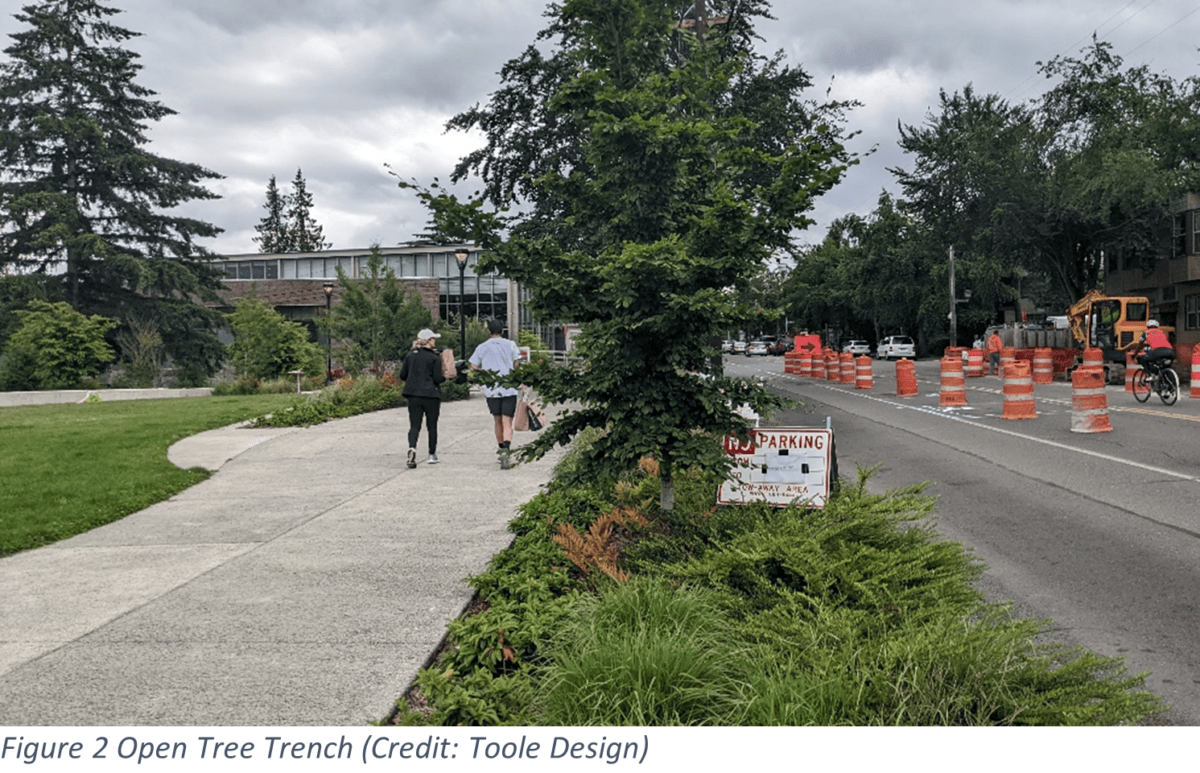 Protecting and Enhancing our Urban Forests - American Public Works ...